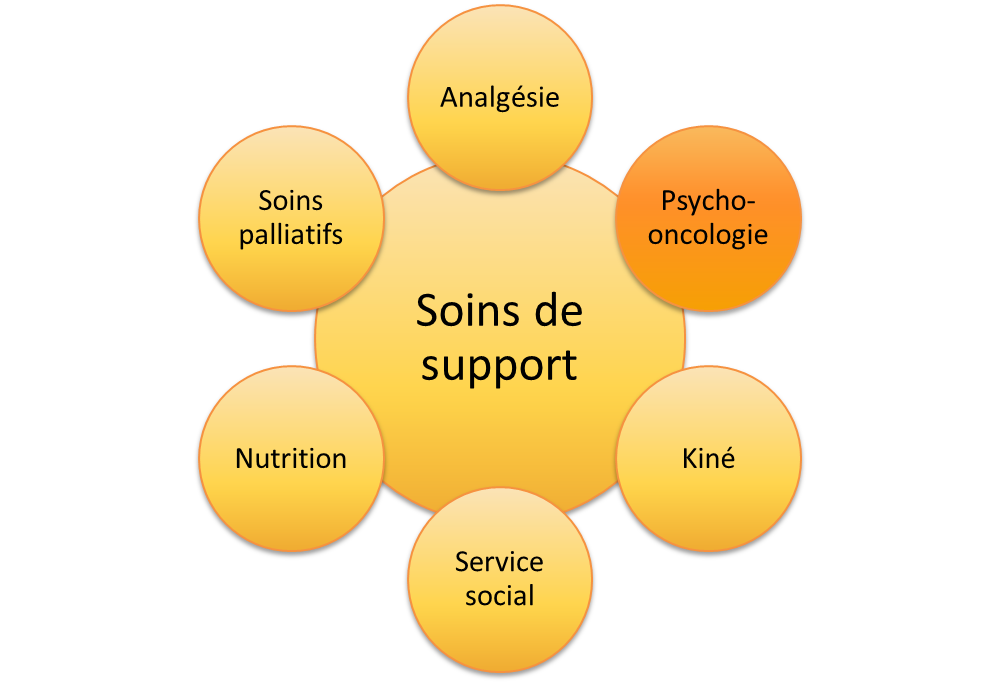 Schéma – soins de support – Les Amis de Mikhy